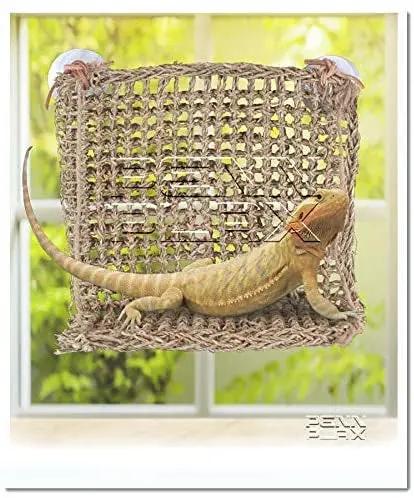 Penn Plax Lizard Lounger Sun Lover - All Reptiles
