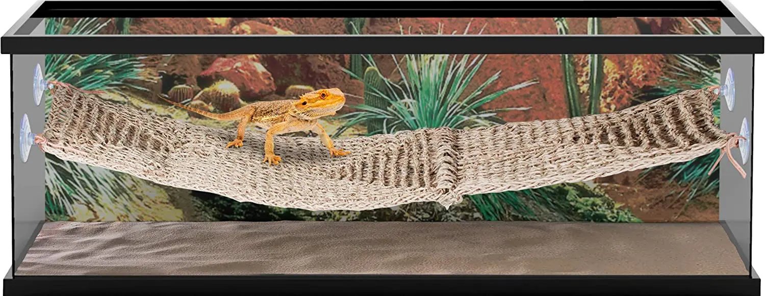 Penn Plax Lizard Lounger Bridge – All Reptiles