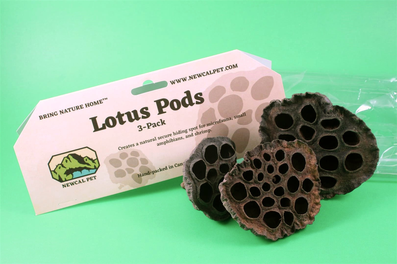 Lotus Pods - 3pk - All Reptiles