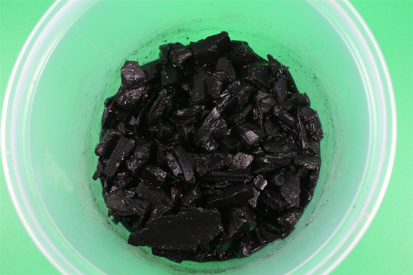 Temperate White Springtails – All Reptiles