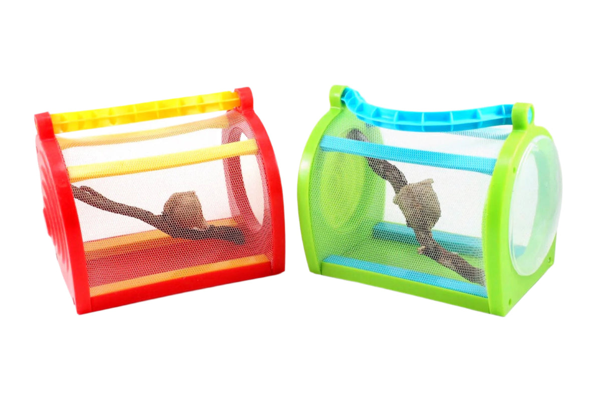 Praying Mantis Egg Sac - Indoors SOLD OUT – All Reptiles