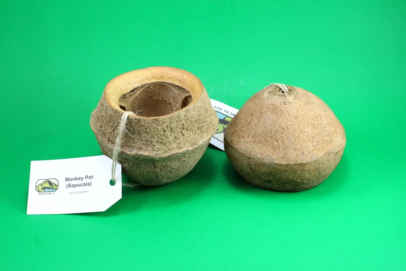 Newcal Monkey Pods - All Reptiles